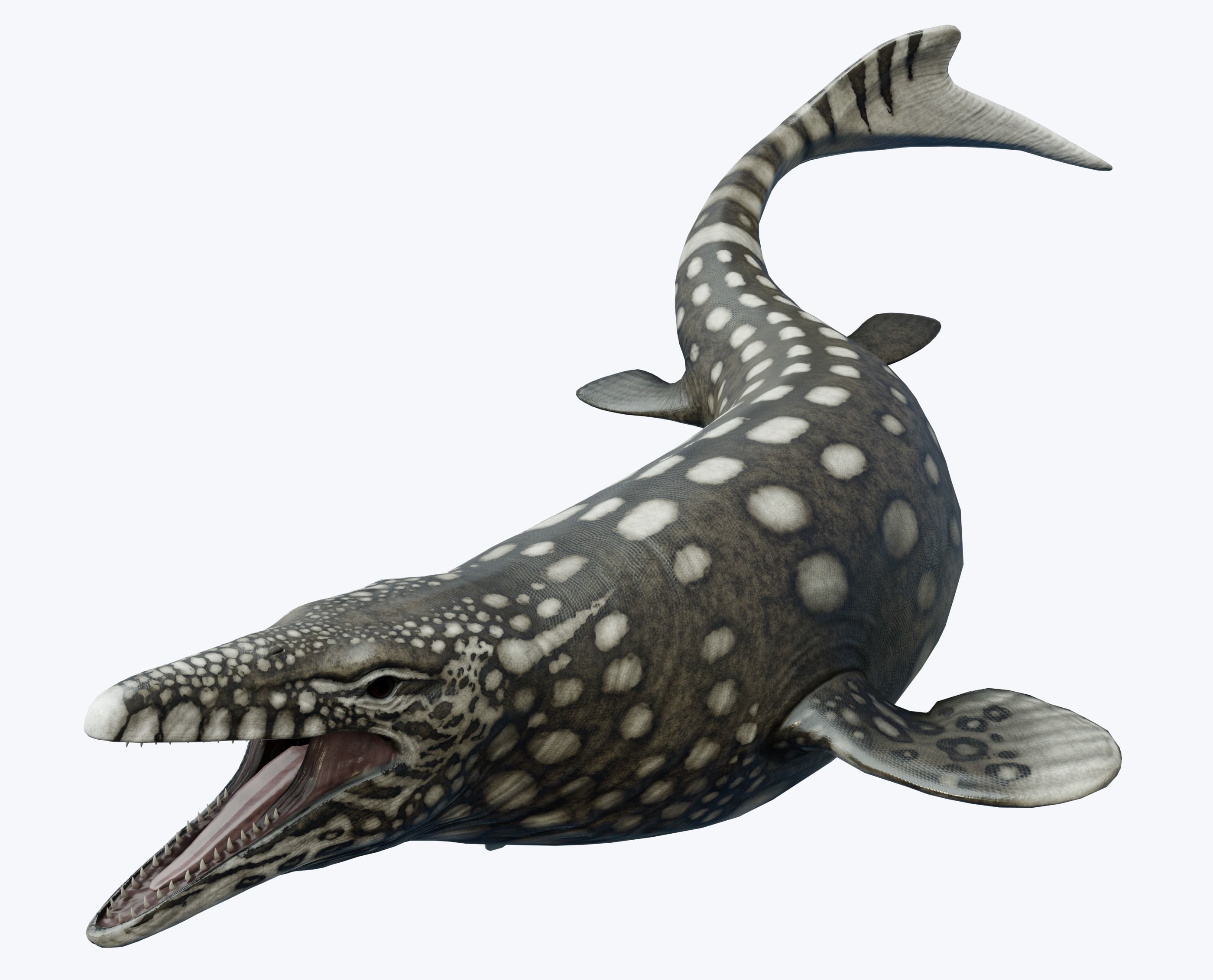 3D model Mosasaurus Asset Pack VR / AR / low-poly | CGTrader