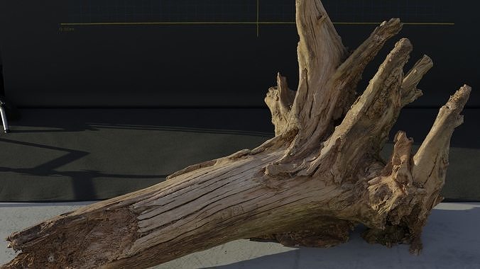 3D model Photogrammetry Model of a Fallen Tree Stump VR / AR / low-poly ...