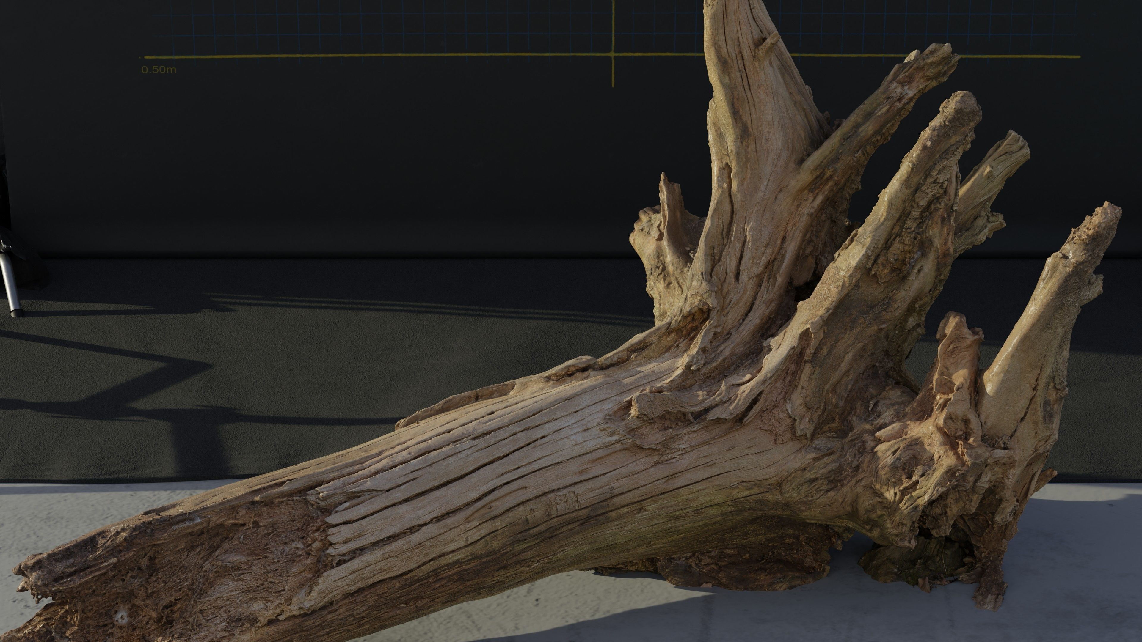 3D model Photogrammetry Model of a Fallen Tree Stump VR / AR / low-poly ...