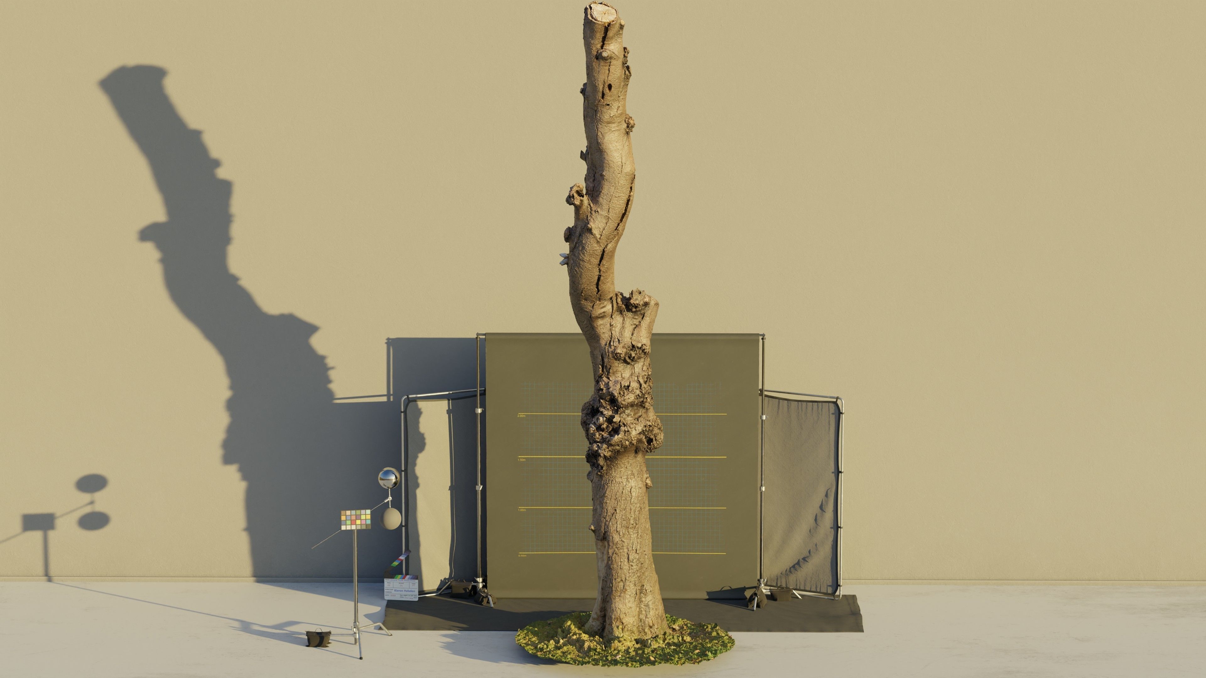 3D model Photogrammetry Dead Tree - Tall and Gnarly VR / AR / low-poly ...