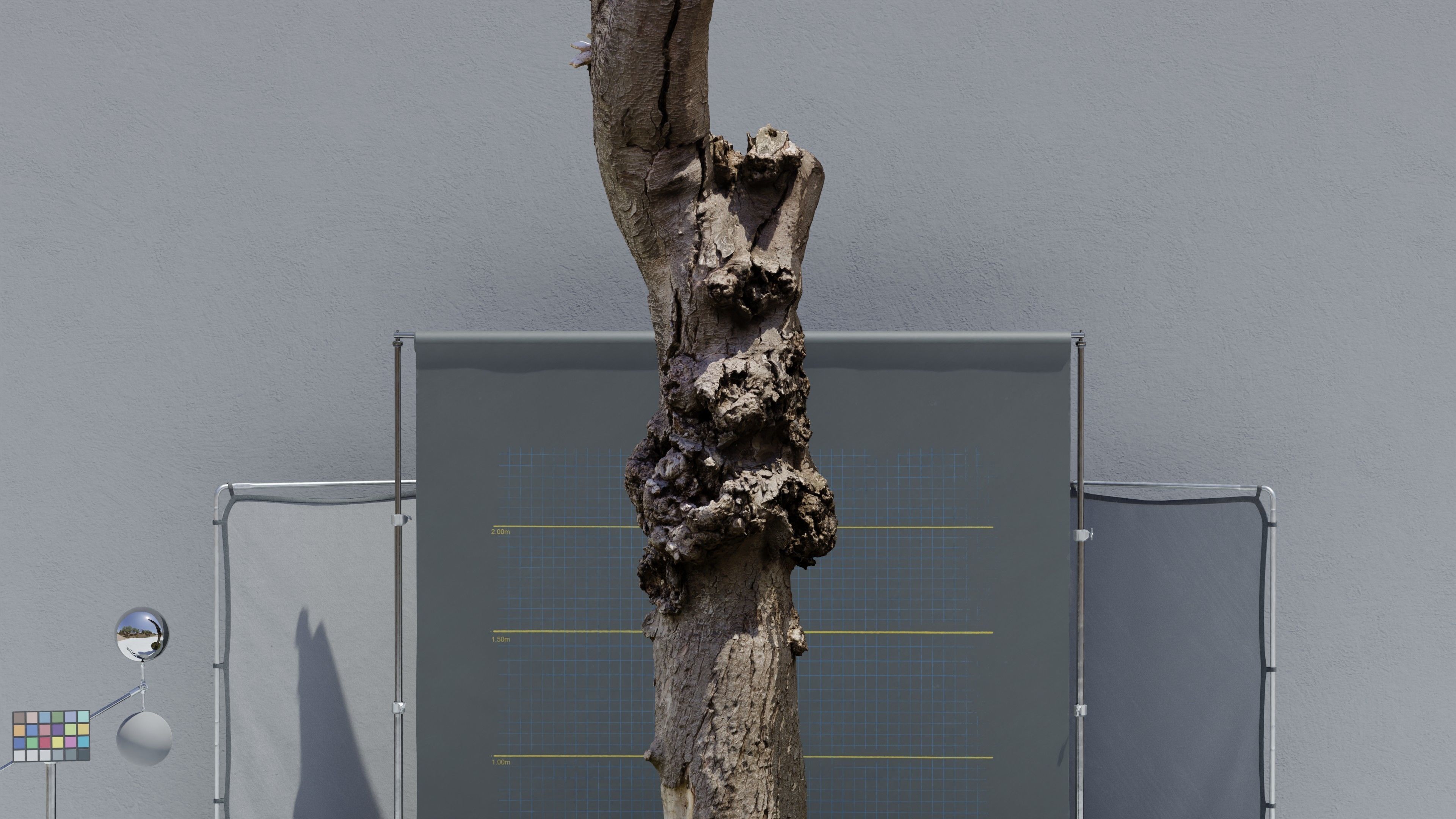 3D model Photogrammetry Dead Tree - Tall and Gnarly VR / AR / low-poly ...