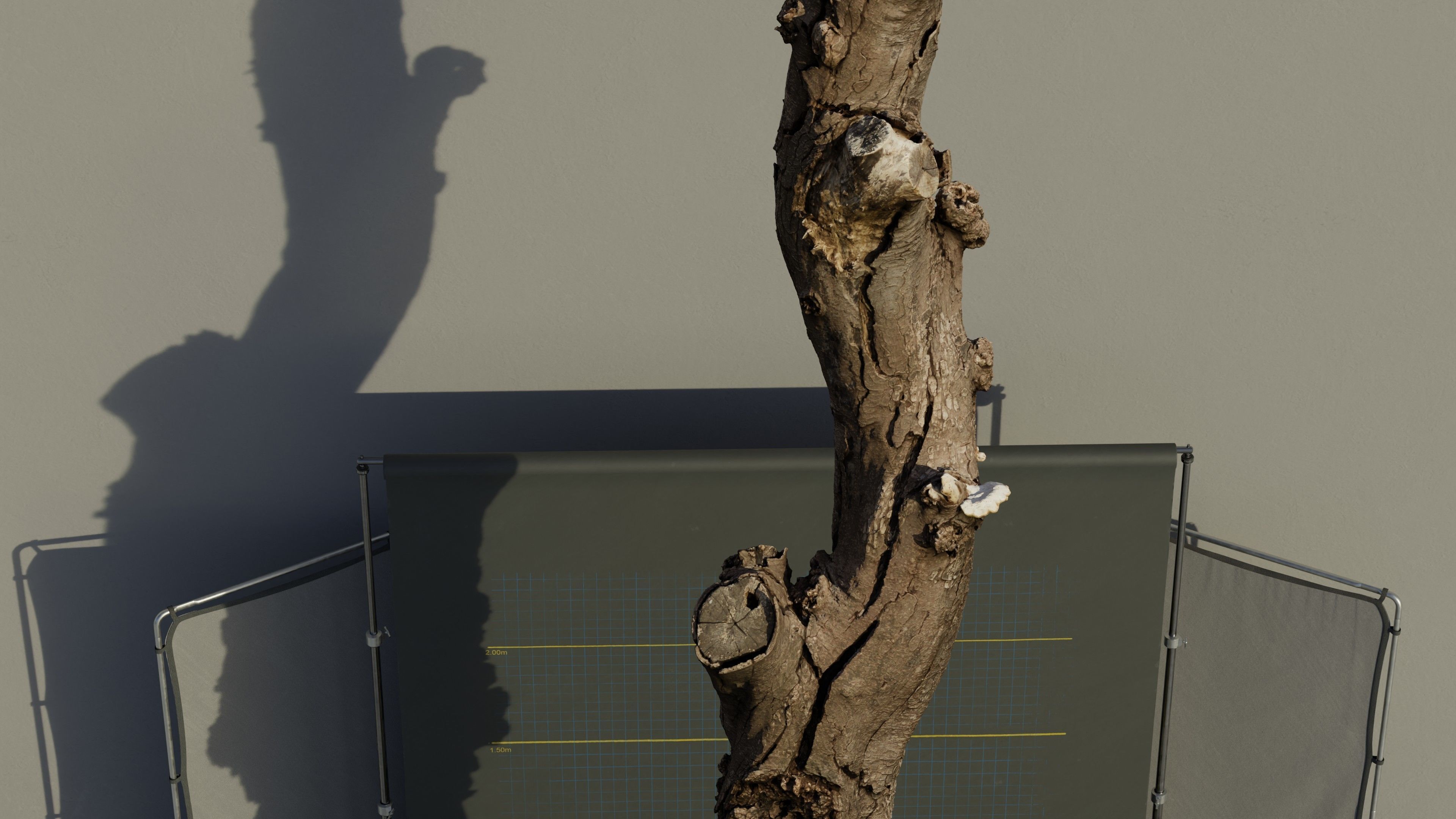 3D model Photogrammetry Dead Tree - Tall and Gnarly VR / AR / low-poly ...
