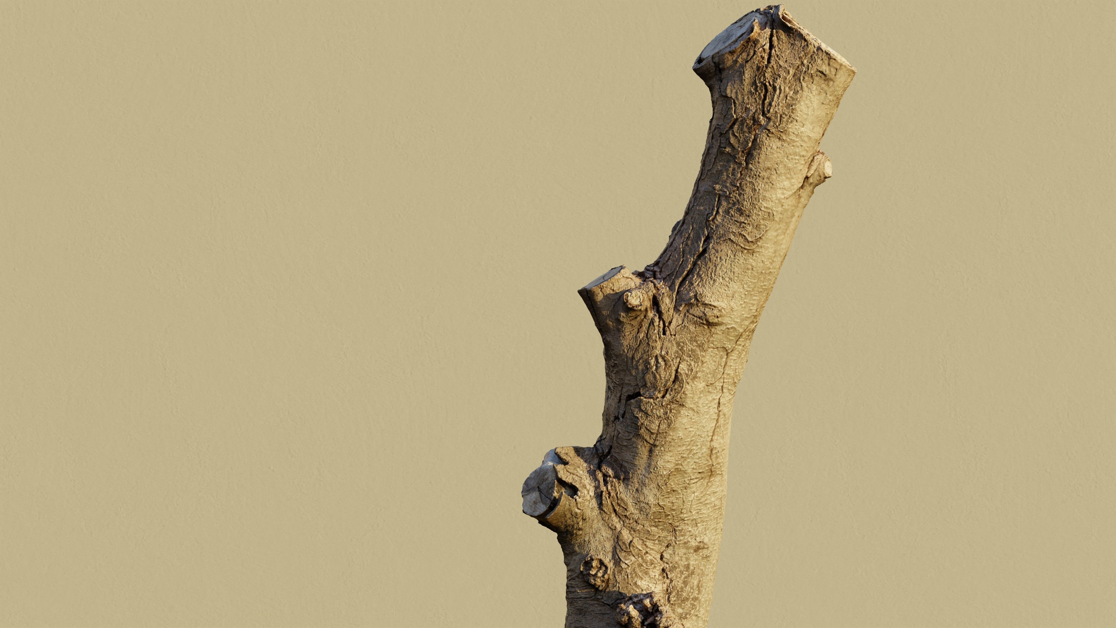 3D model Photogrammetry Dead Tree - Tall and Gnarly VR / AR / low-poly ...