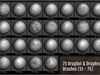 Rust Bumps and Roughness Maker 300 ZBrush brushes and 75 alphas Texture ...