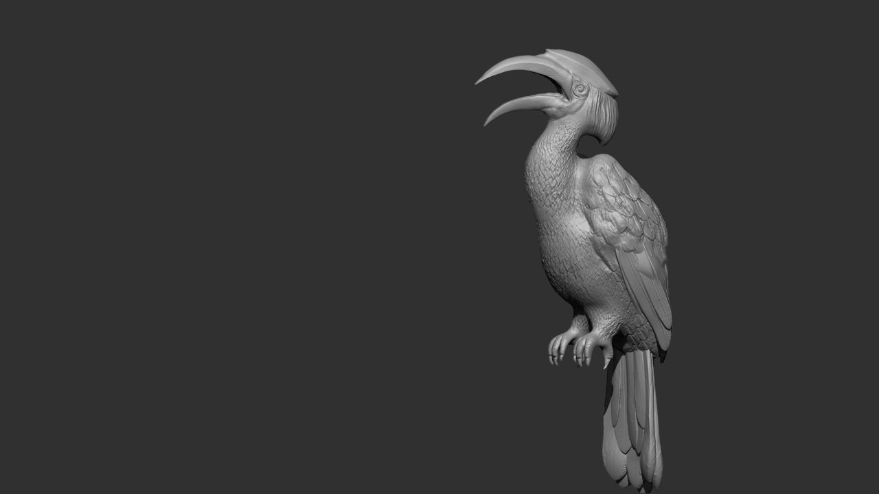 hornbill bird 3D model 3D printable | CGTrader