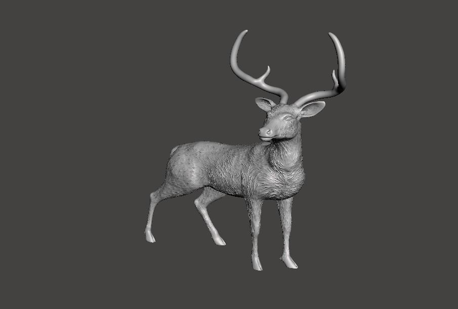 deer chinkara 3D model 3D printable | CGTrader