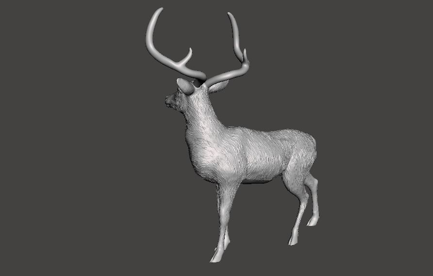 deer chinkara 3D model 3D printable | CGTrader