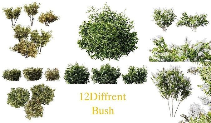 5 Different SETS of Bush SET VOL14 3D Model Collection | CGTrader