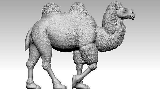 camel 3D model 3D printable | CGTrader