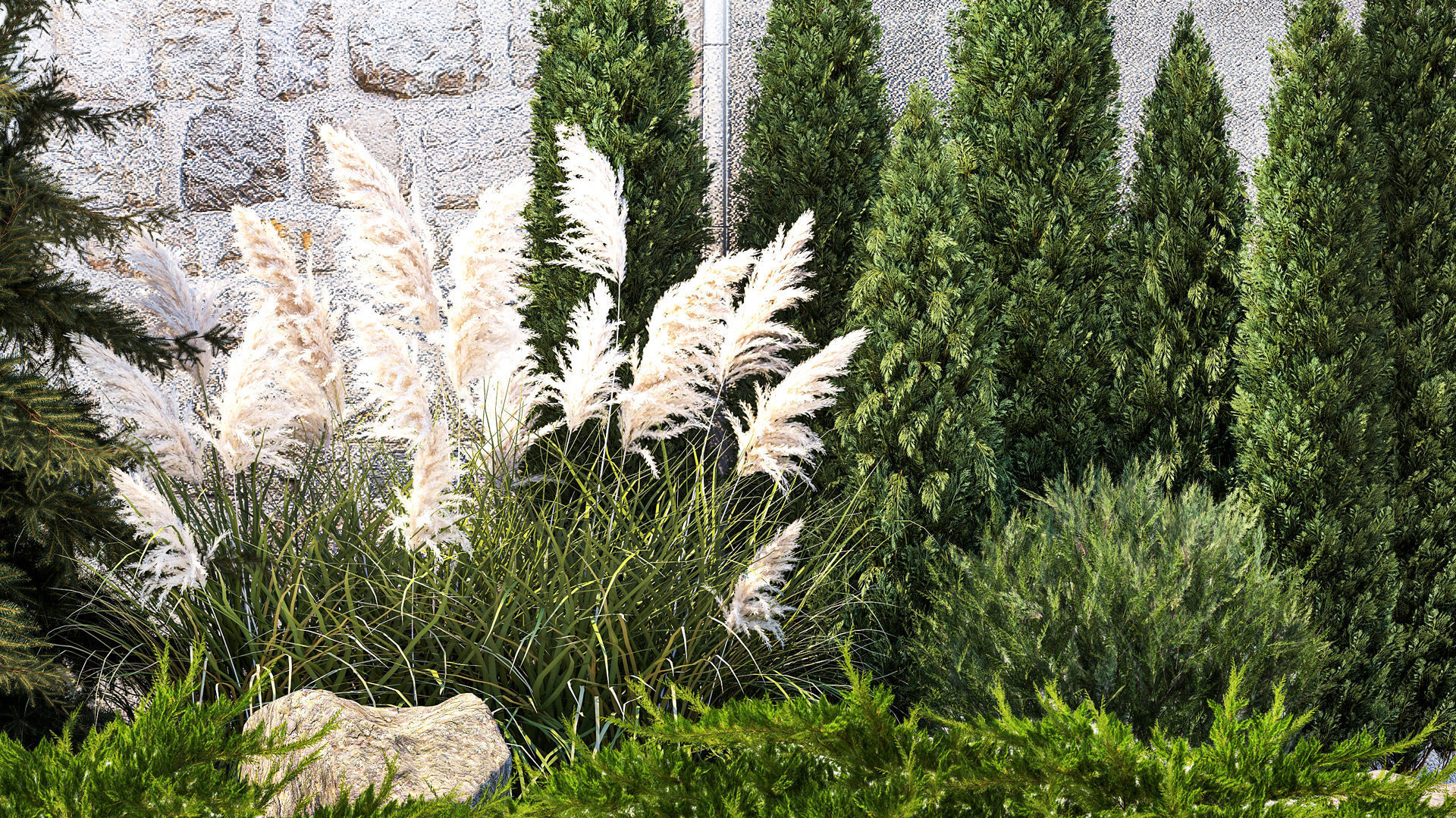 Garden with thuja cypress tree and pampas grass reed grass 1383 3D model | CGTrader
