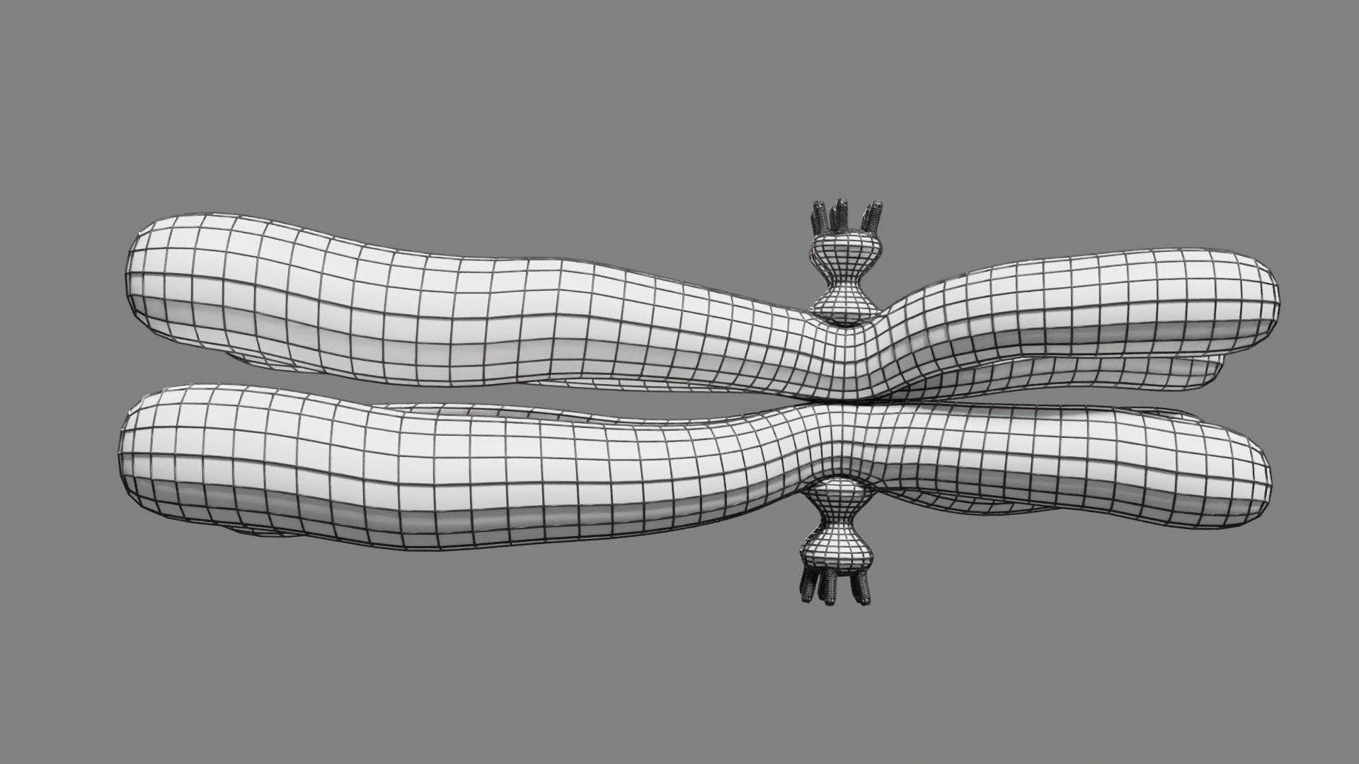 Chromosome homologous centromere kinetochore blender 3d model 3D model ...