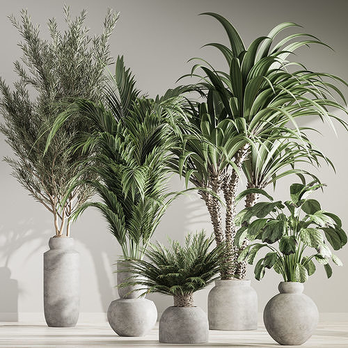 indoor plant set 42 3D model | CGTrader
