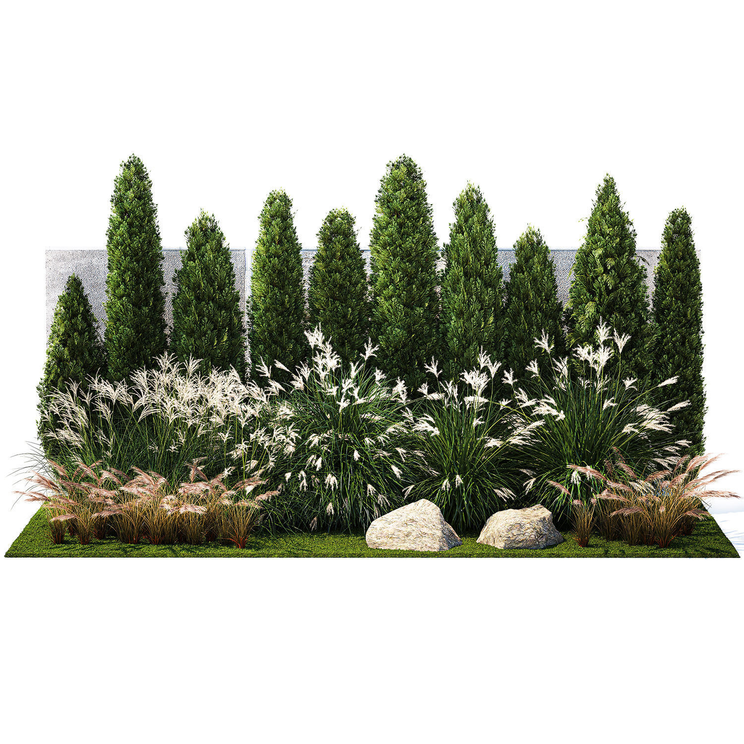 Garden with thuja cypress bushes feather grass Miscanthus grass 3D ...