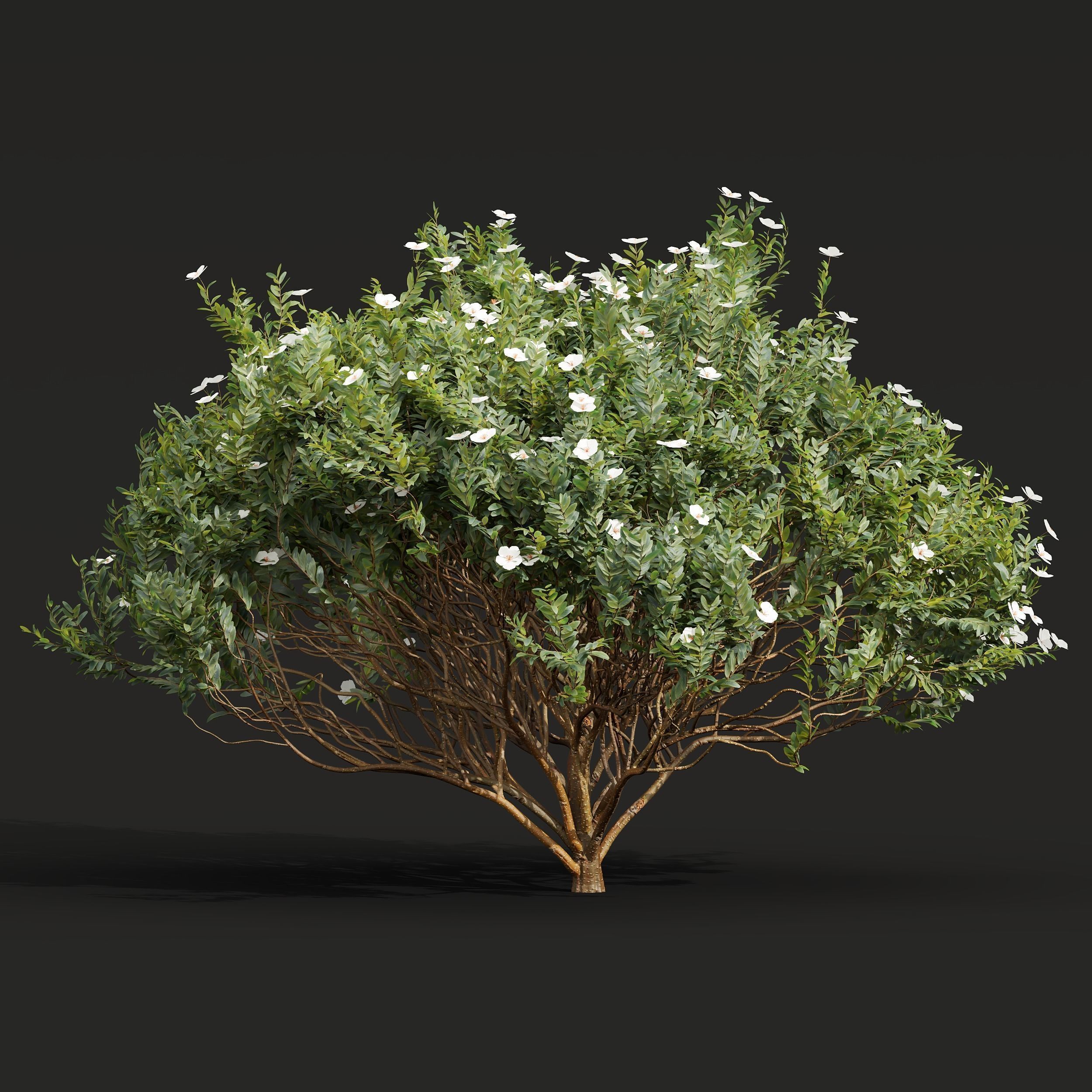 6 Different SETS of Bush SET VOL24 3D Model Collection | CGTrader