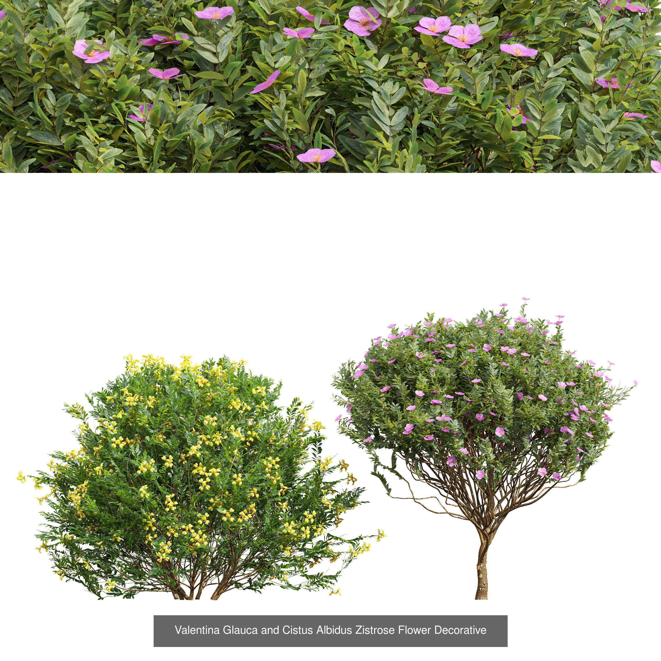6 Different SETS of Bush SET VOL24 3D Model Collection | CGTrader