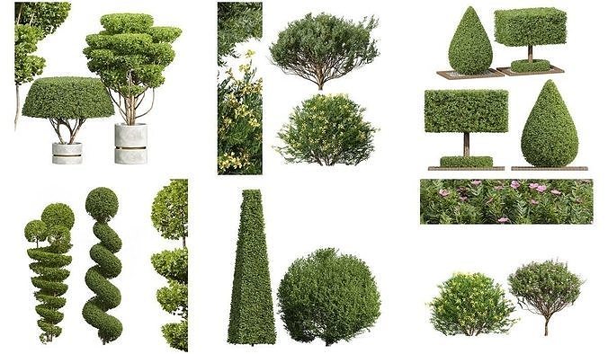 6 Different SETS of Bush SET VOL24 3D Model Collection | CGTrader