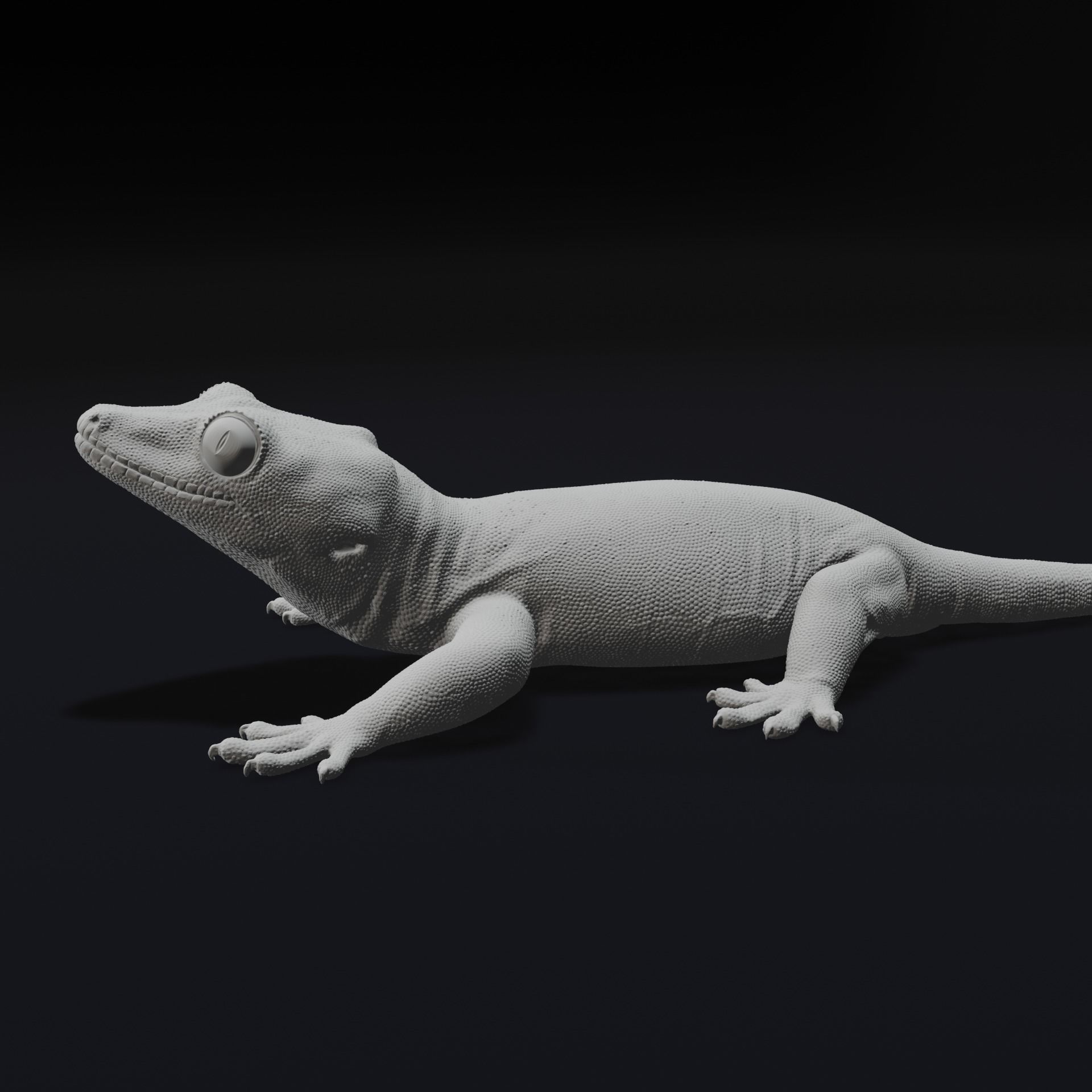 Gargoyle Gecko Pet Reptile 3D Print Model 3D model 3D printable | CGTrader