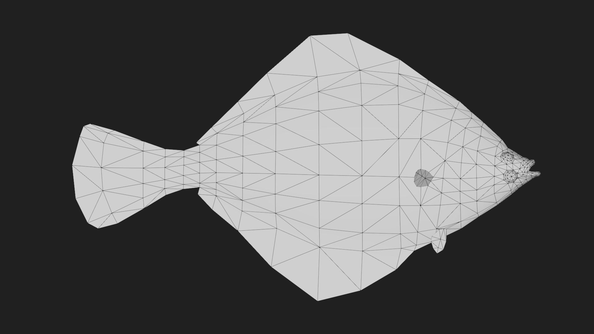 Flatfish 3D model rigged | CGTrader