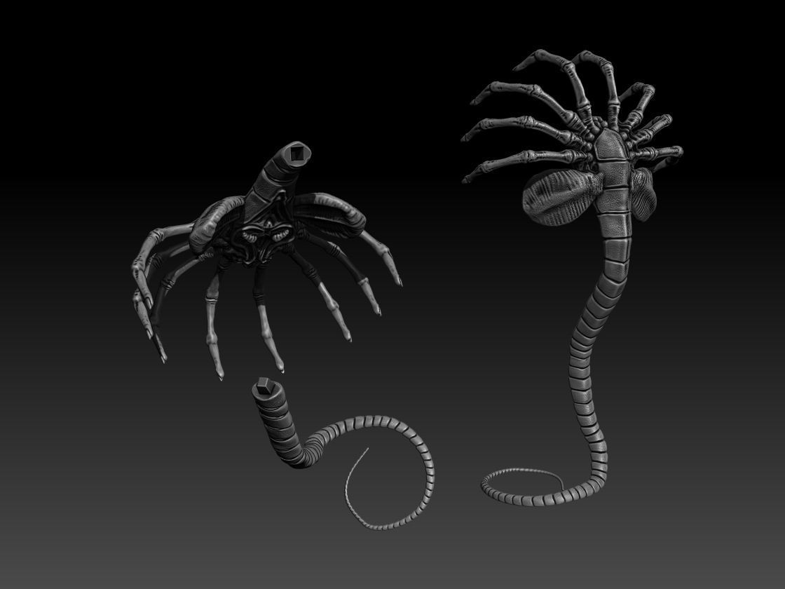 Ovomorph Alien Egg 3D model | CGTrader