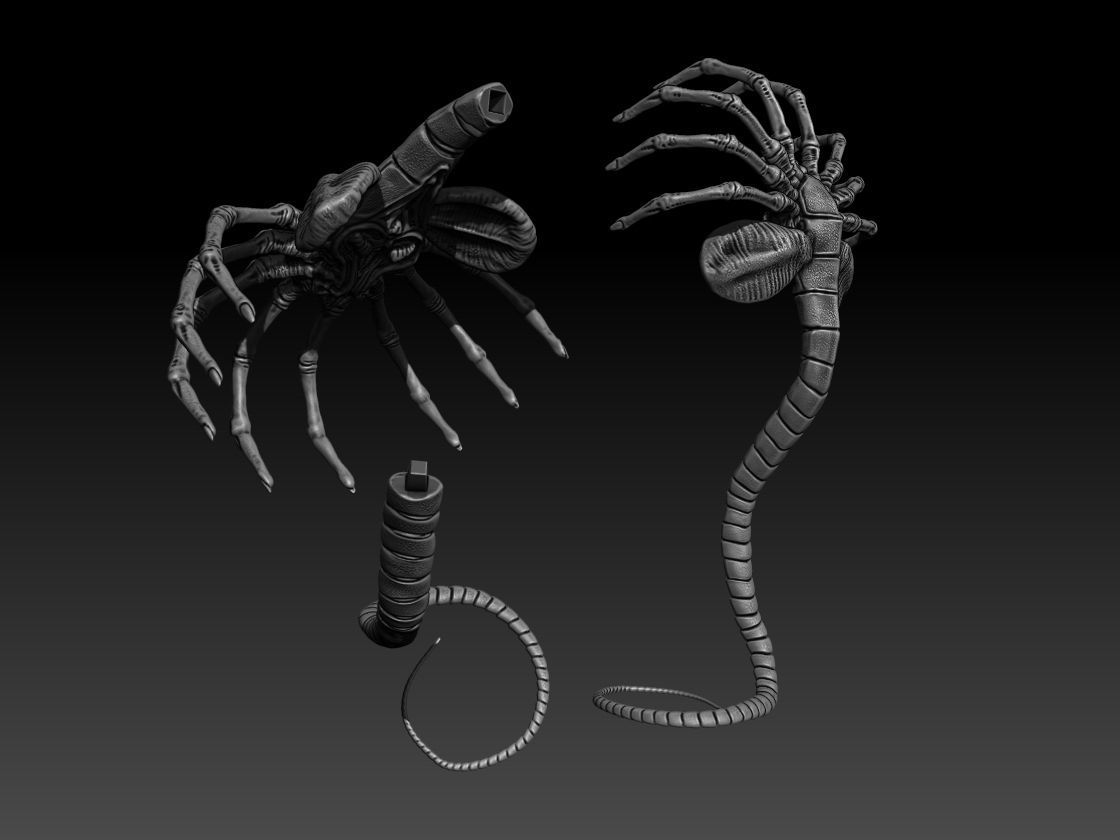 Ovomorph Alien Egg 3D model | CGTrader
