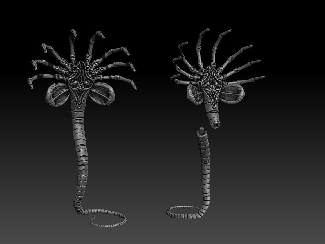 Ovomorph Alien Egg 3D model | CGTrader