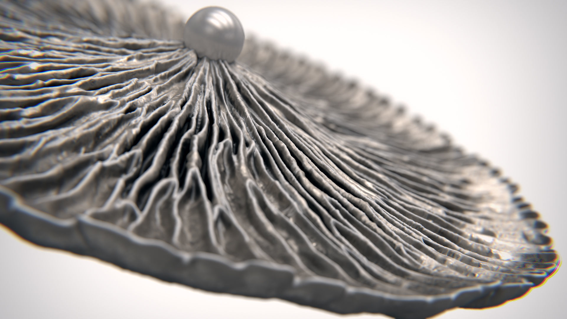 Coral Flower Pearl Earring STL 3D model 3D printable | CGTrader