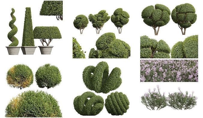 6 Different SETS of Bush SET VOL40 3D Model Collection | CGTrader