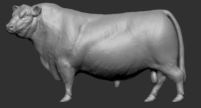 Angus Bull 3D model 3D printable | CGTrader
