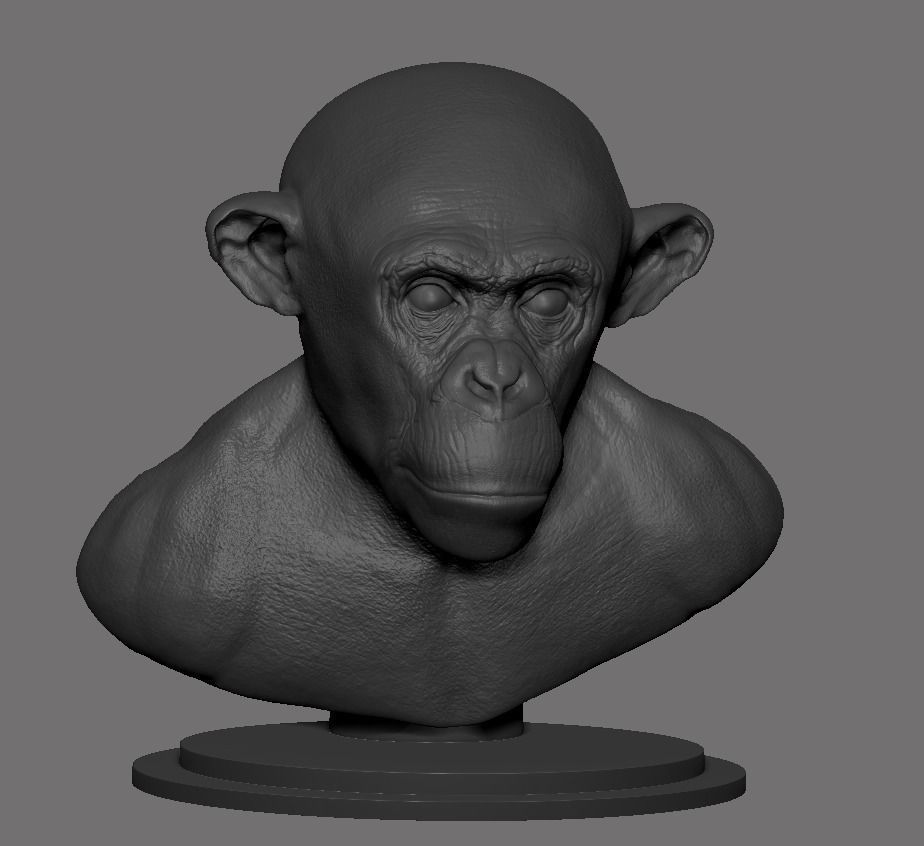 Chimpanzee Bust 3D model 3D printable | CGTrader