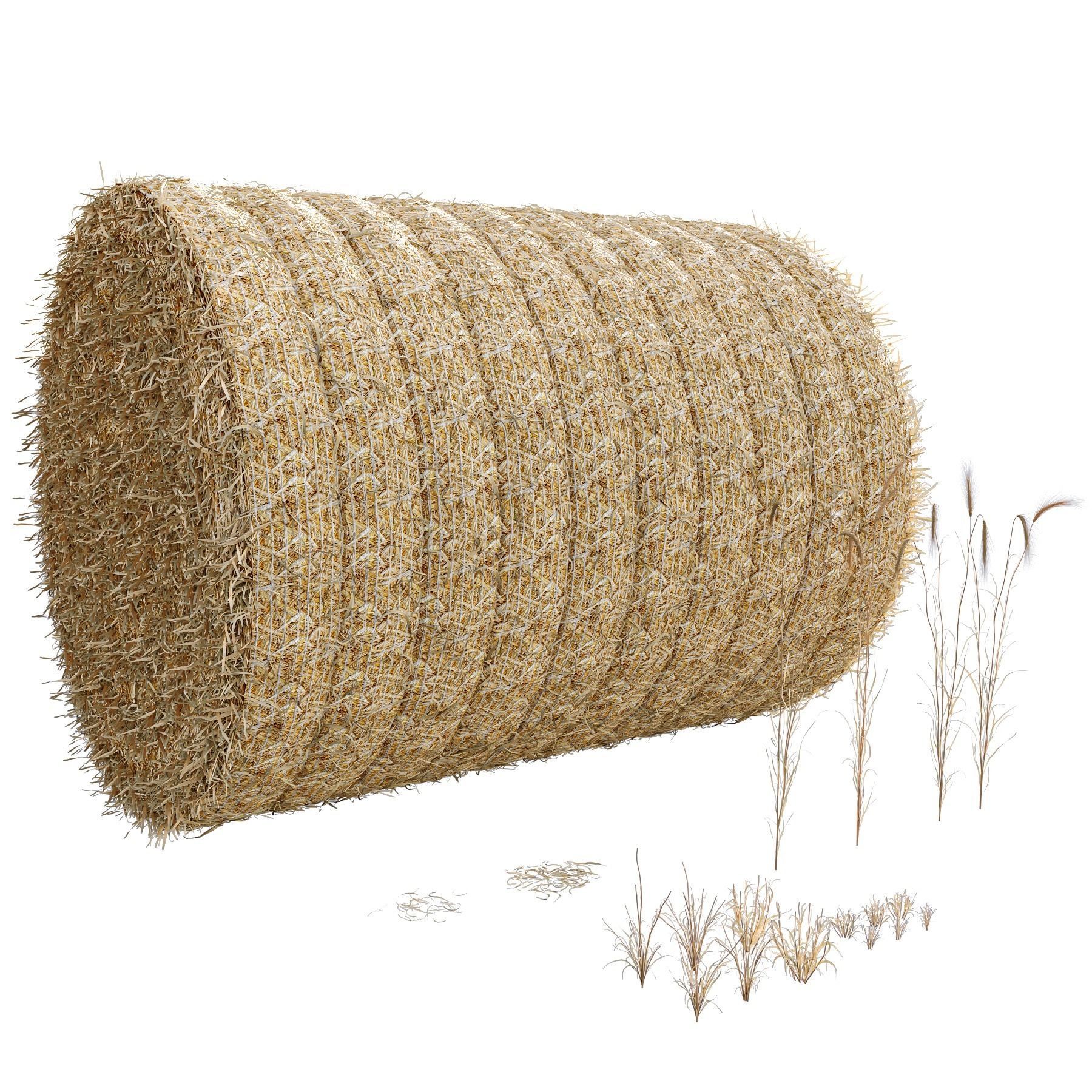 HQ Grass Round Hay Bale Farm Ground 3D model | CGTrader