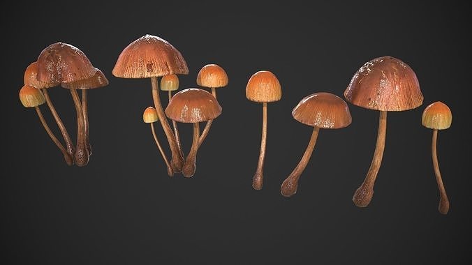 3D model Generic Mushrooms VR / AR / low-poly | CGTrader