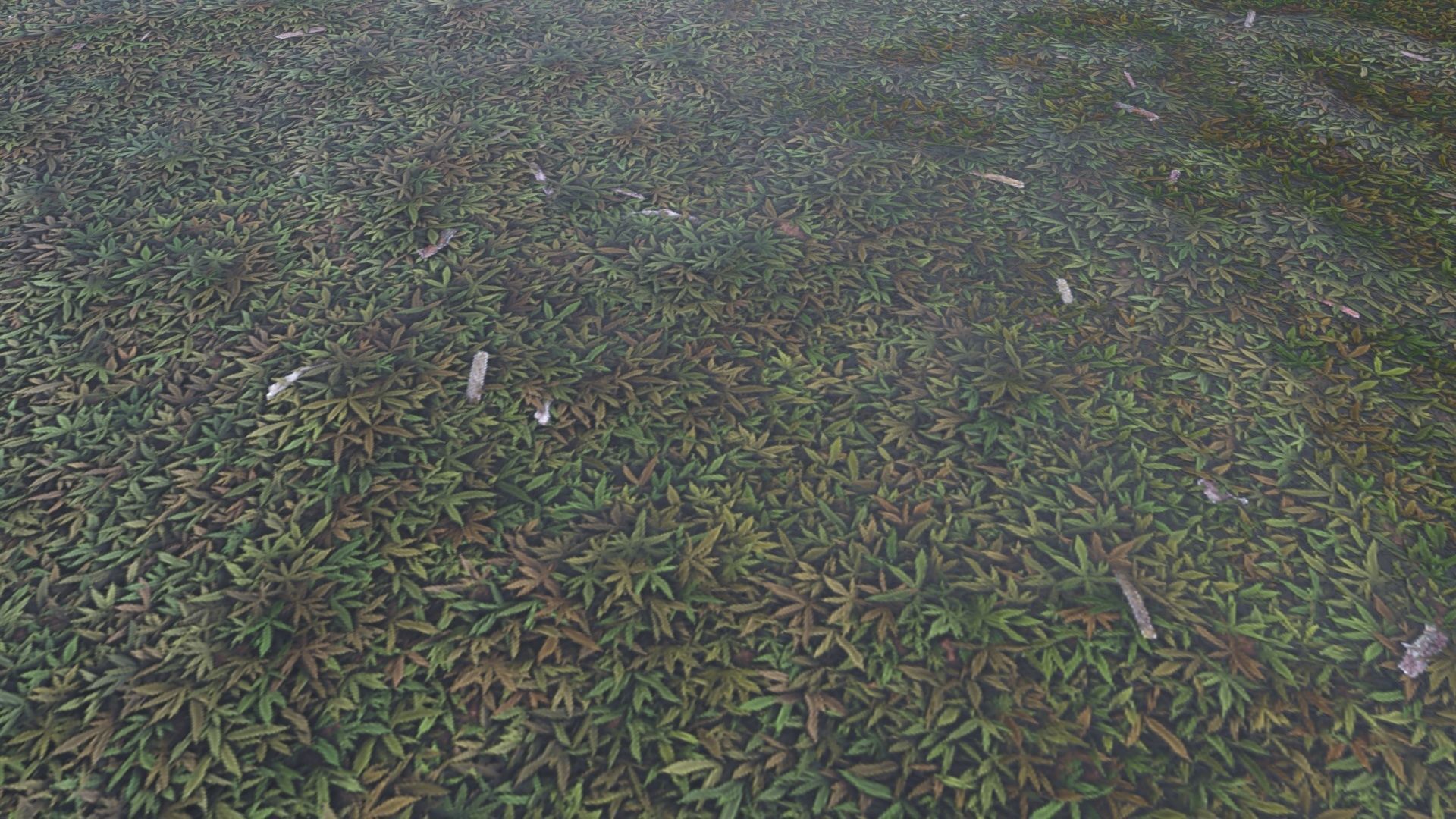 bumpy plant field 4K Texture | CGTrader