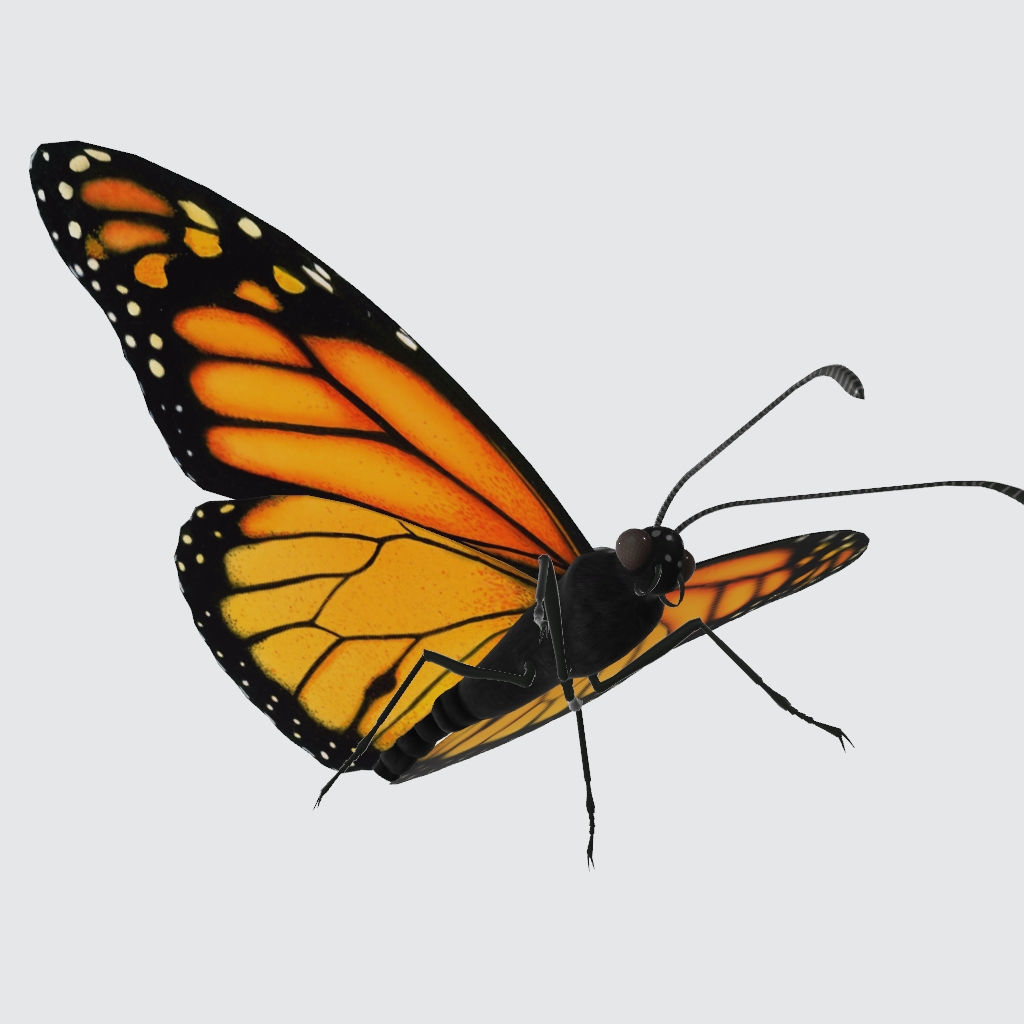 Monarch Butterfly 3D Model Ready to Print 3D model 3D printable | CGTrader