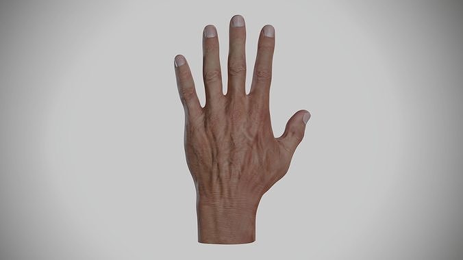 3D model Human Hand VR / AR / low-poly | CGTrader