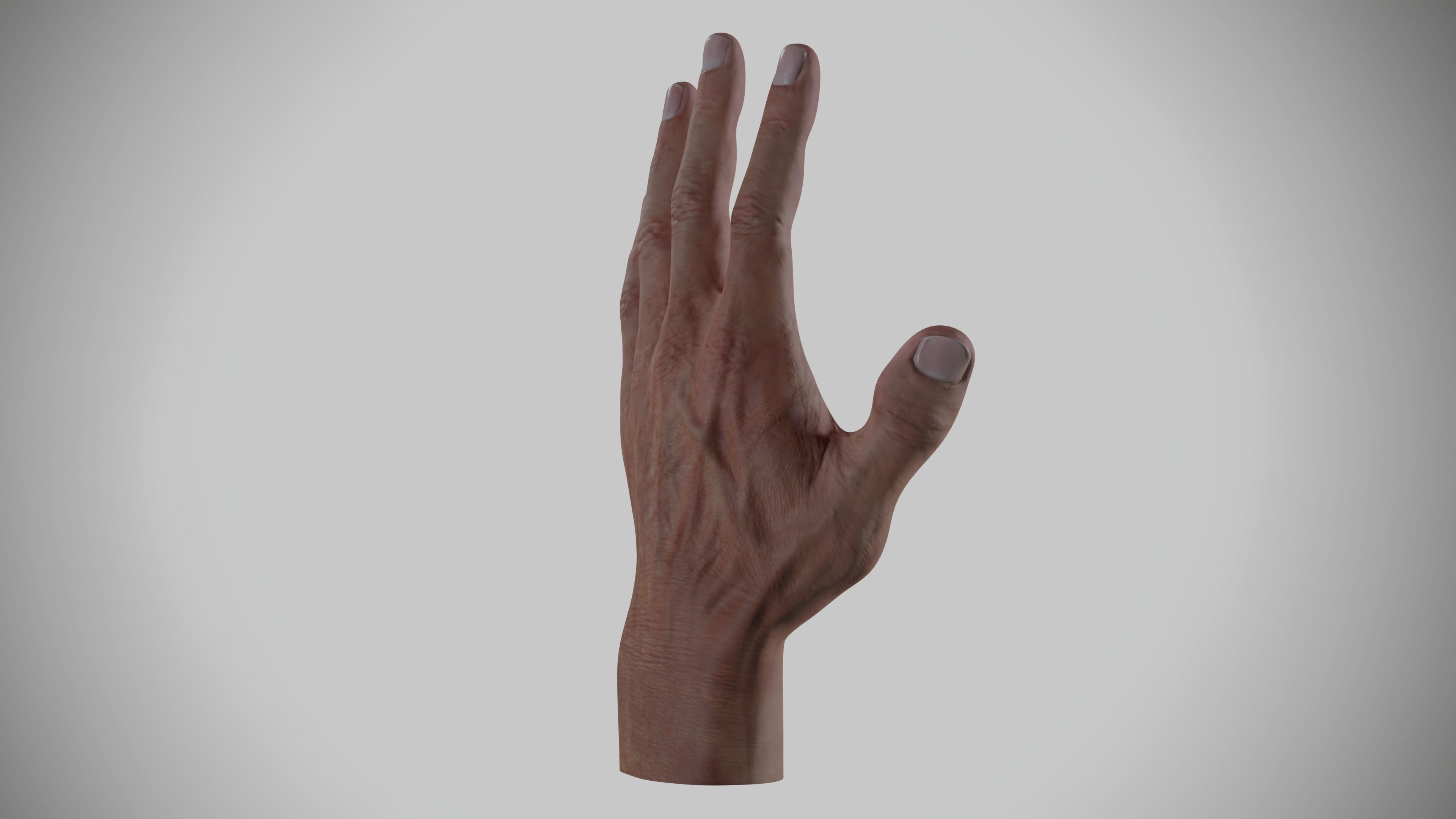 3D model Human Hand VR / AR / low-poly | CGTrader