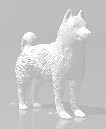 DOG Shiba Inu stl 3D model | CGTrader