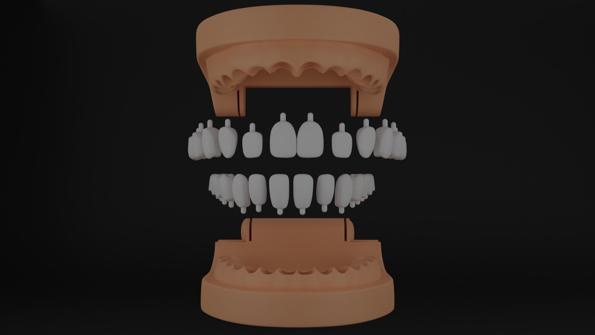 Collapsible 3d model of teeth 3D model 3D printable | CGTrader