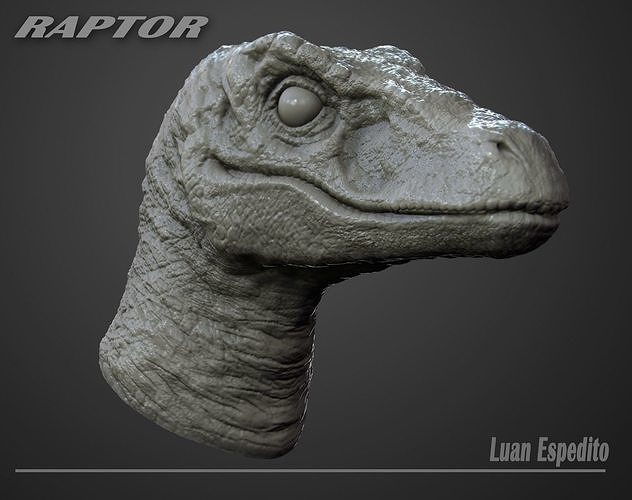 Raptor free 3D model | CGTrader
