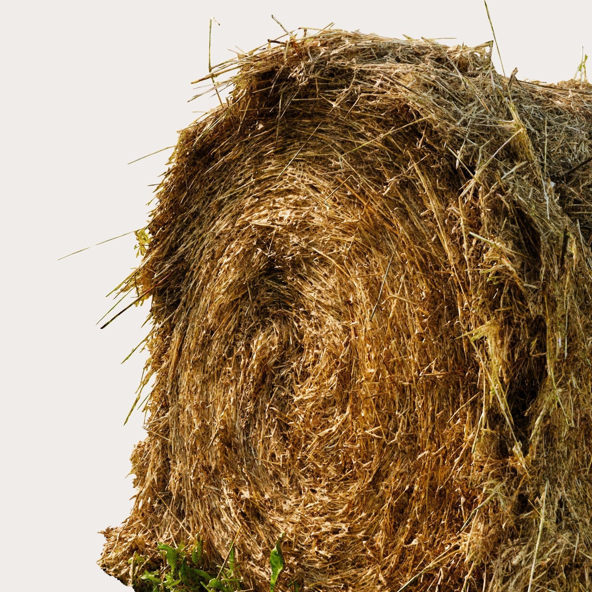 Round bale of hay 3D model | CGTrader