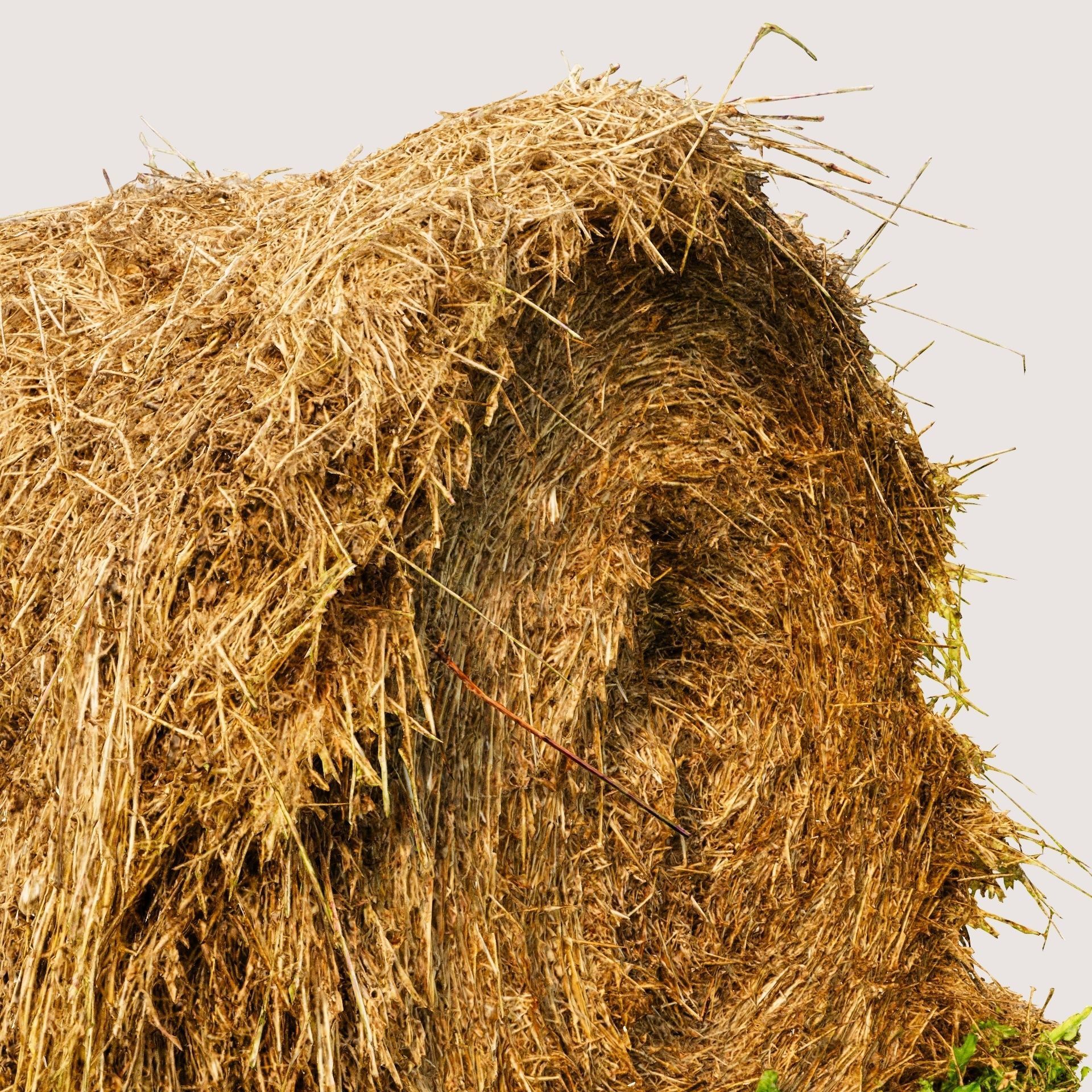 Round bale of hay 3D model | CGTrader