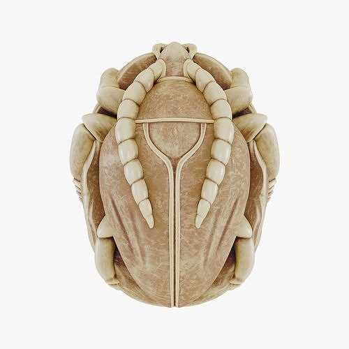 Stylized scarab on a stone 3D model | CGTrader