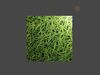Texture Grass Texture Seamless - 2K - Grama VR / AR / low-poly | CGTrader