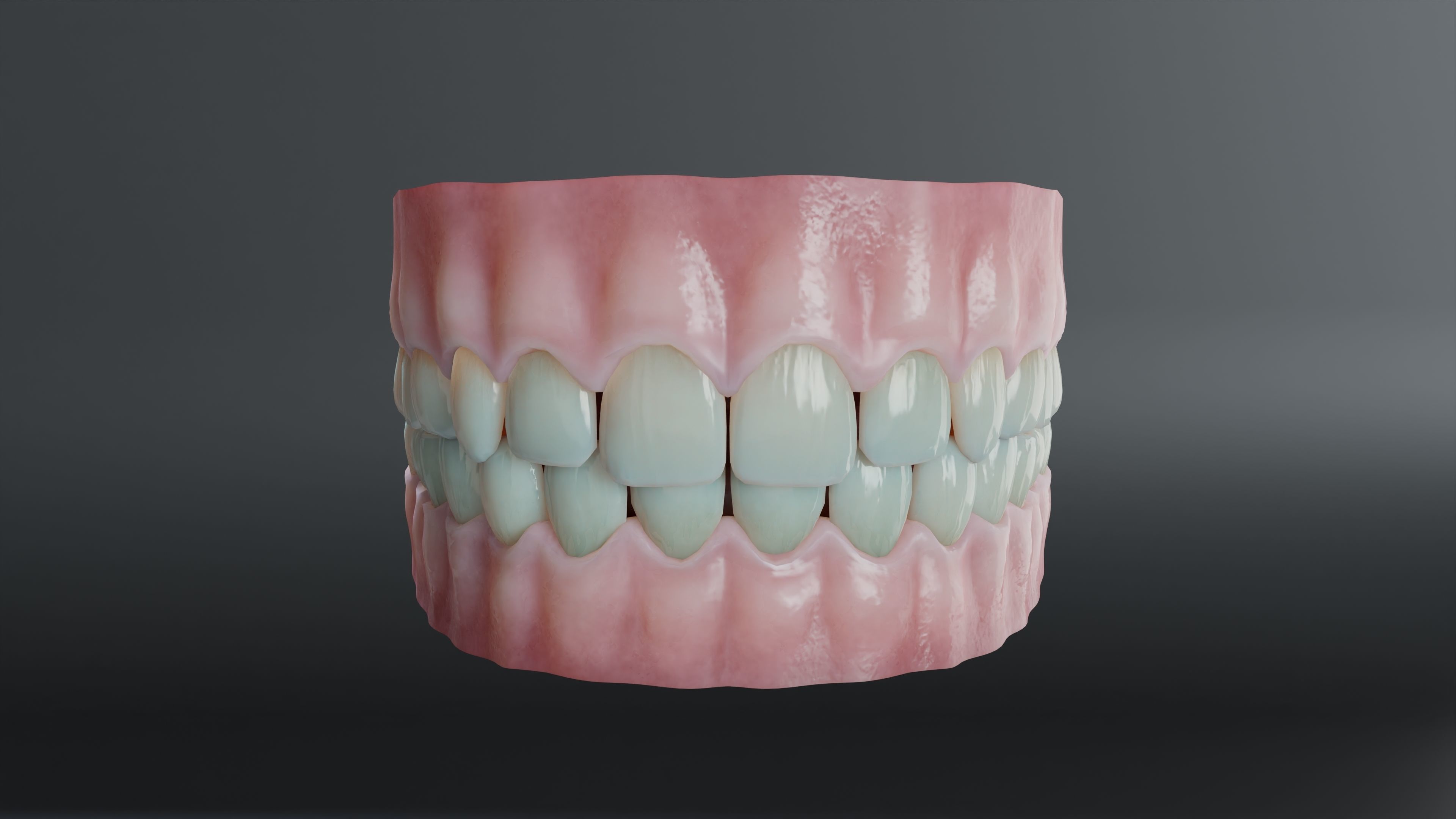 Human Teeth 3D model animated rigged | CGTrader