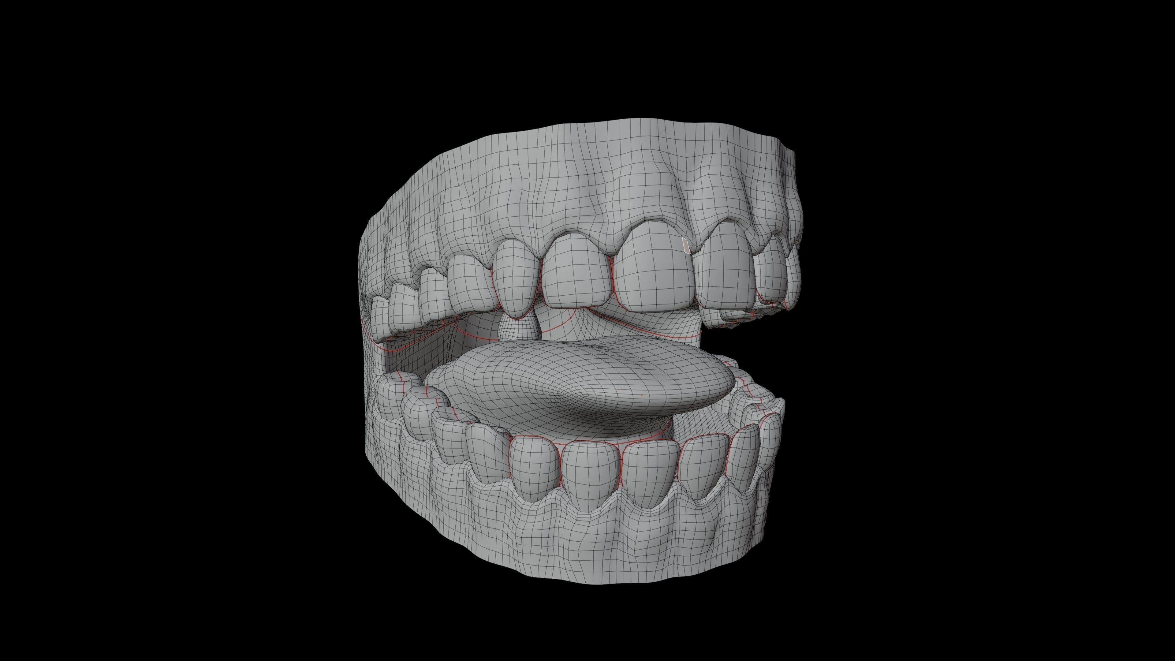 Human Teeth 3D model animated rigged | CGTrader