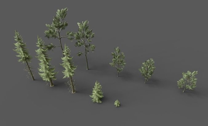 3D model PINE TREE PACK VR / AR / low-poly | CGTrader