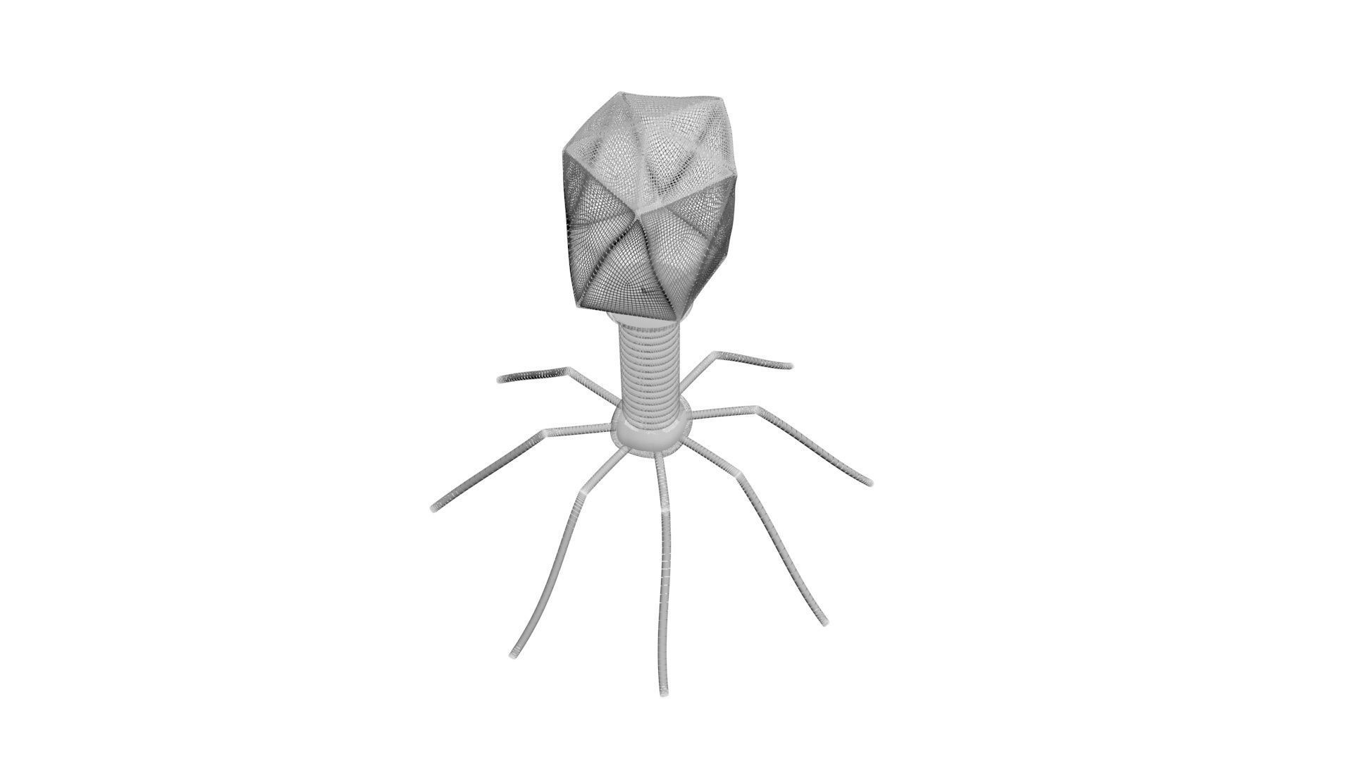 Bacteriophage 3D model | CGTrader