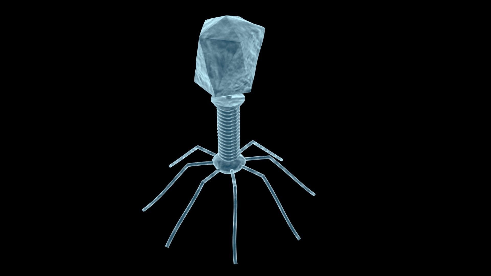 Bacteriophage 3D model | CGTrader