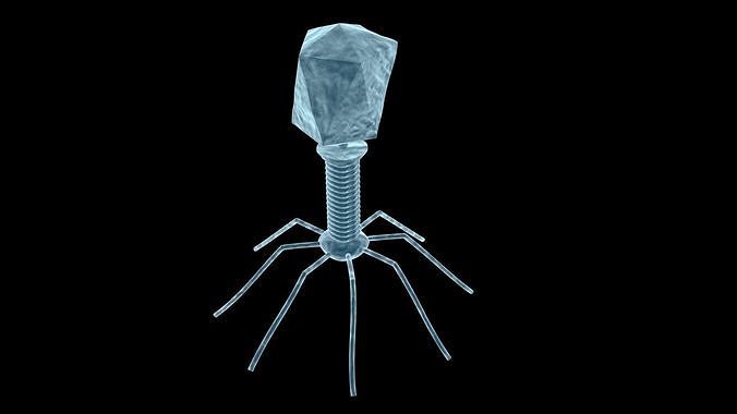 Bacteriophage 3D model | CGTrader