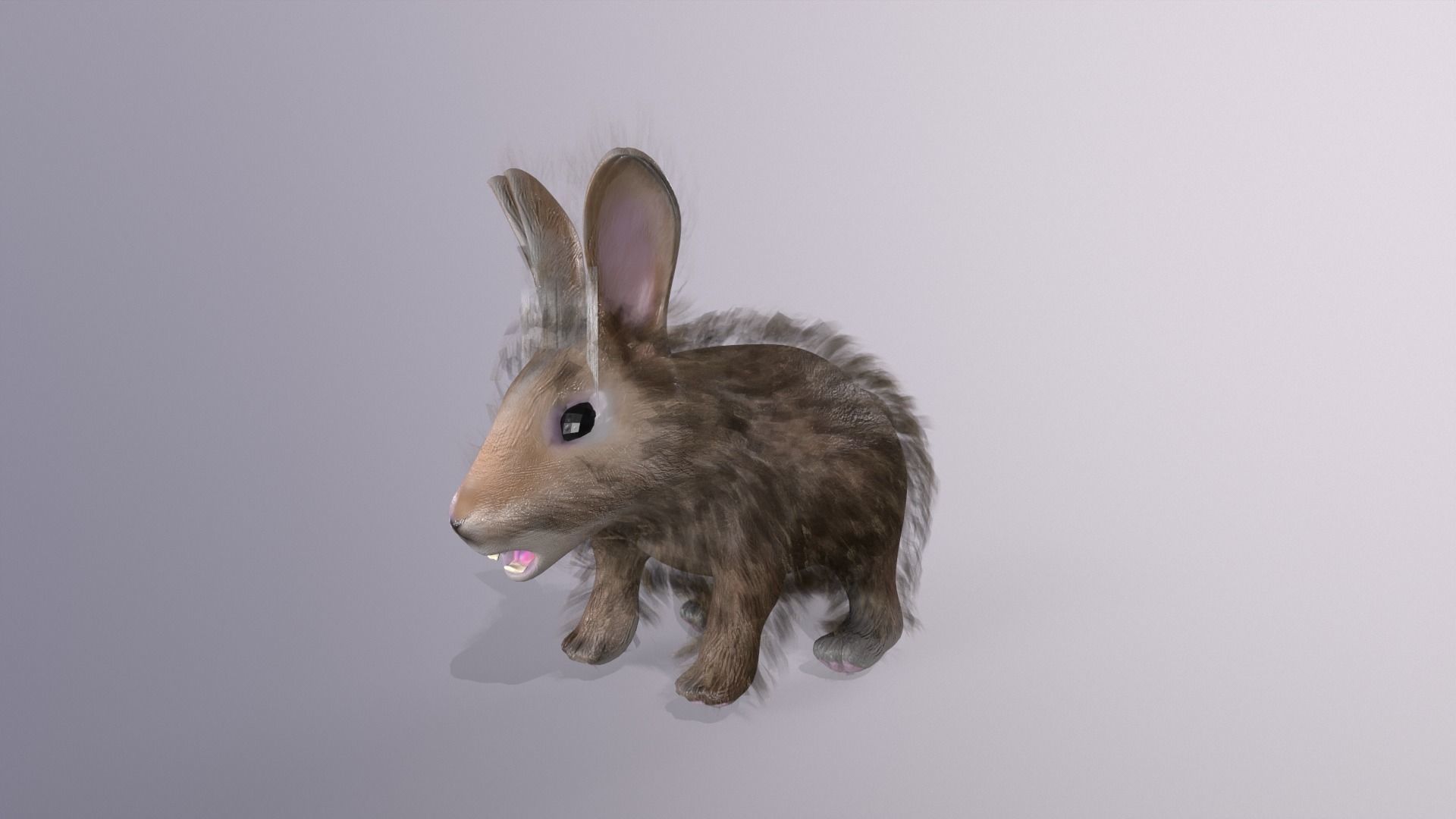 3D model Rabbit Animated VR / AR / low-poly | CGTrader