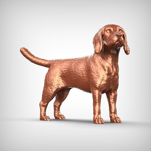 Beagle 3D Print Model Pose 03 3D model 3D printable | CGTrader